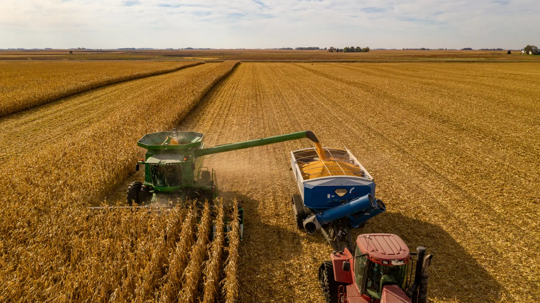 Discover the Best Corn Head to Maximize Corn Yield